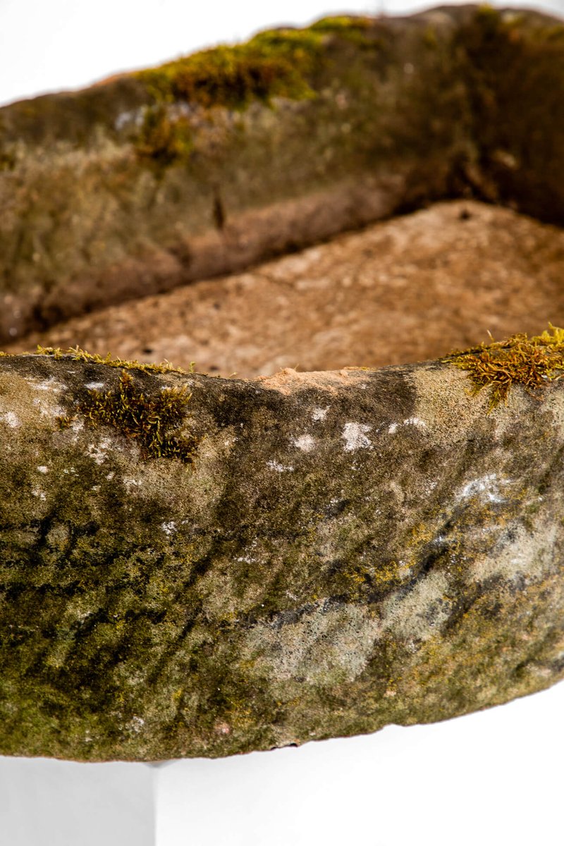 D-Shaped Sandstone Trough for sale at Pamono