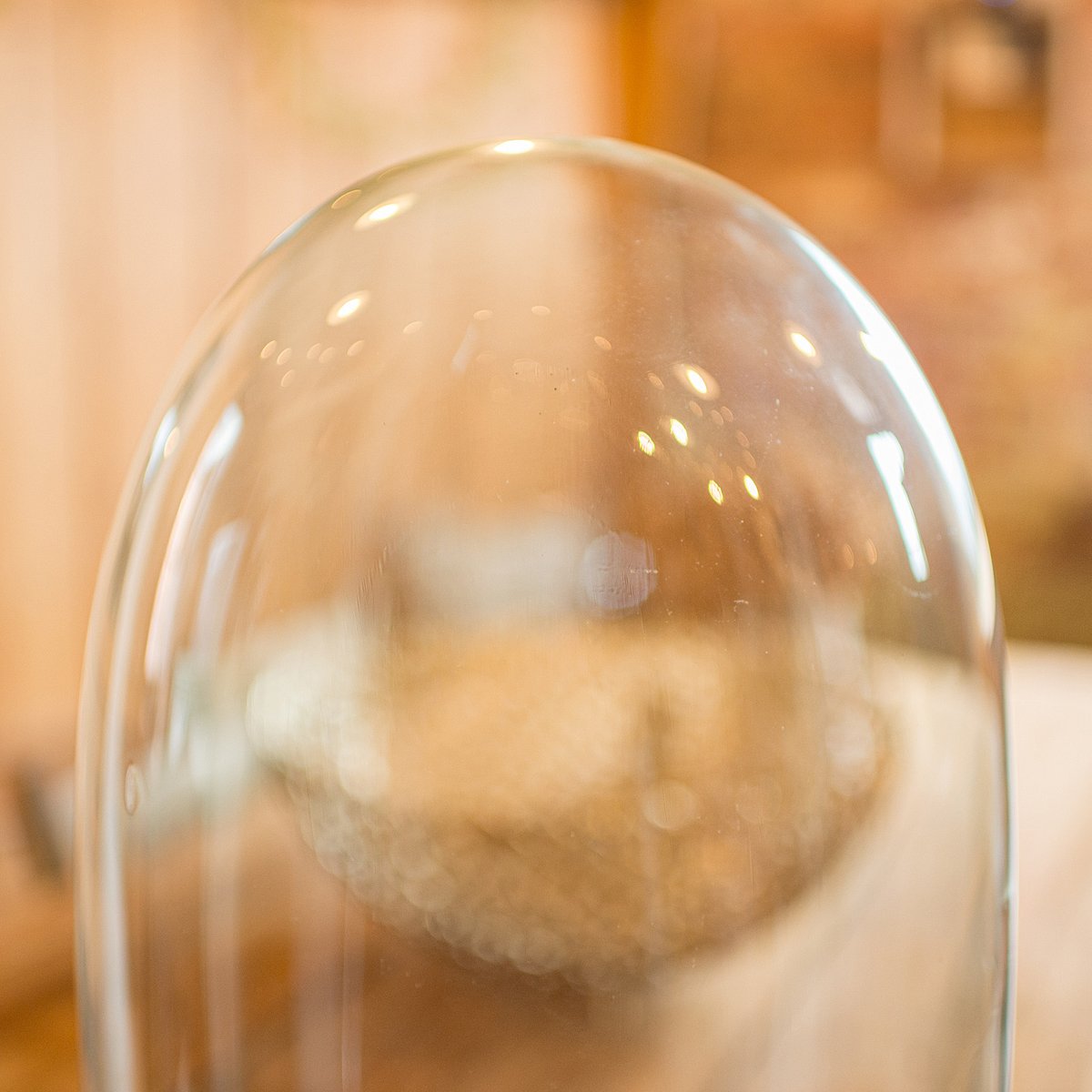 Large English Oval Clock Dome, 1890s for sale at Pamono