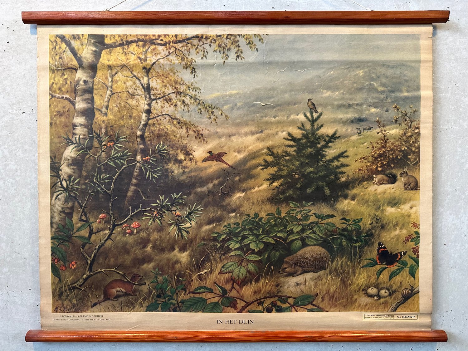 Vintage Linen School Map In the Dune for sale at Pamono