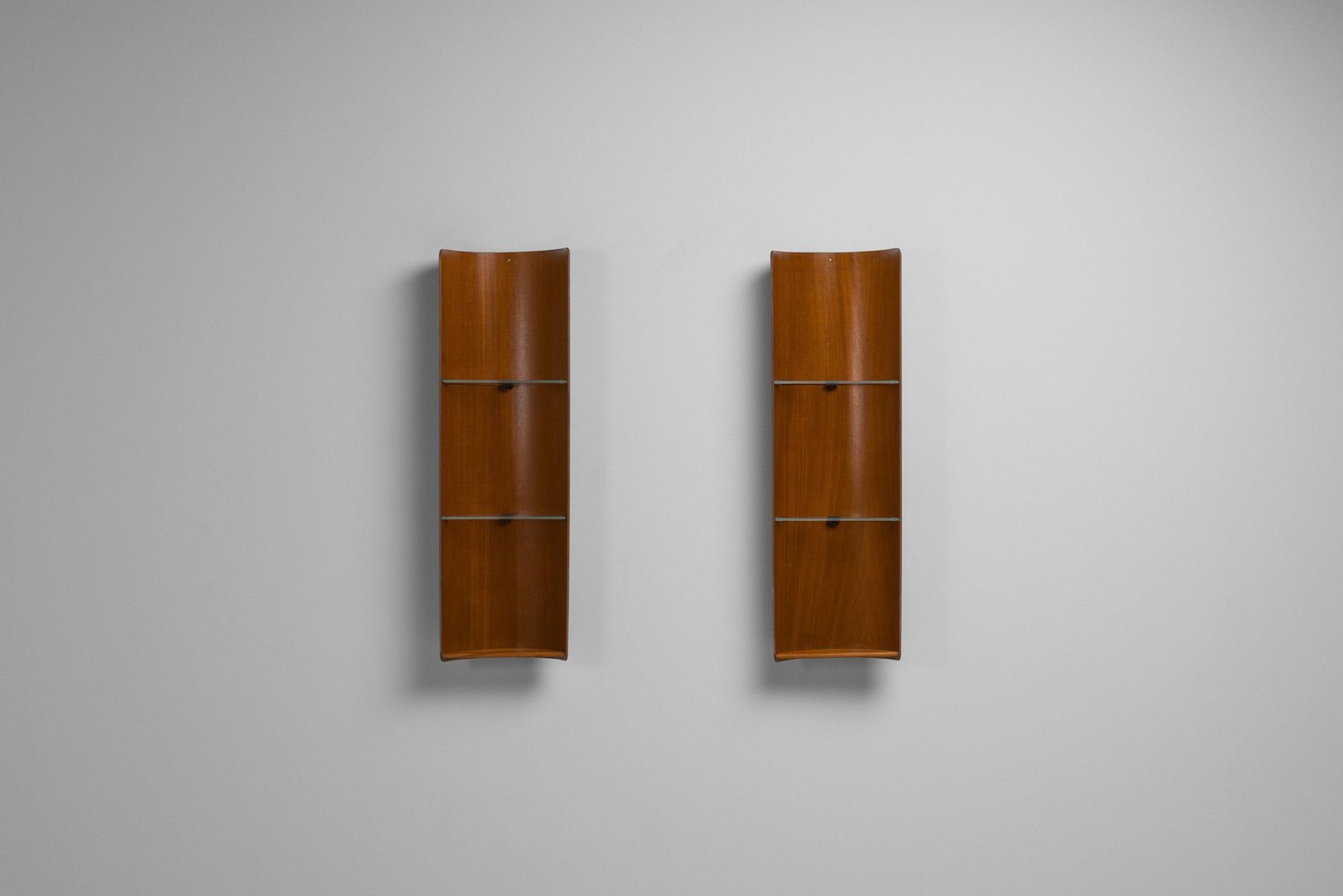 Vintage Wall Mounted Display Cabinets by Carlo Ratti, 1950, Set of 2 ...