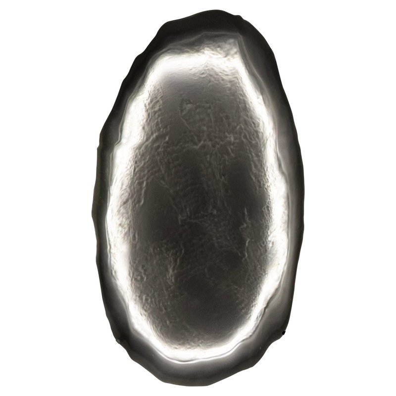 Jellyfish Double Mom Wall Lamp by Fresh Glass for sale at Pamono