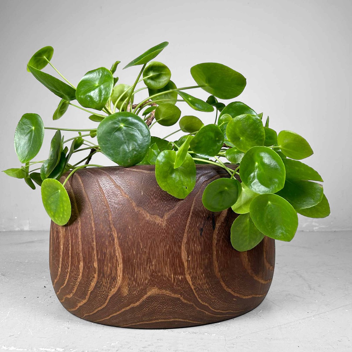 Traditional Japanese Fire Pot, 1920s for sale at Pamono