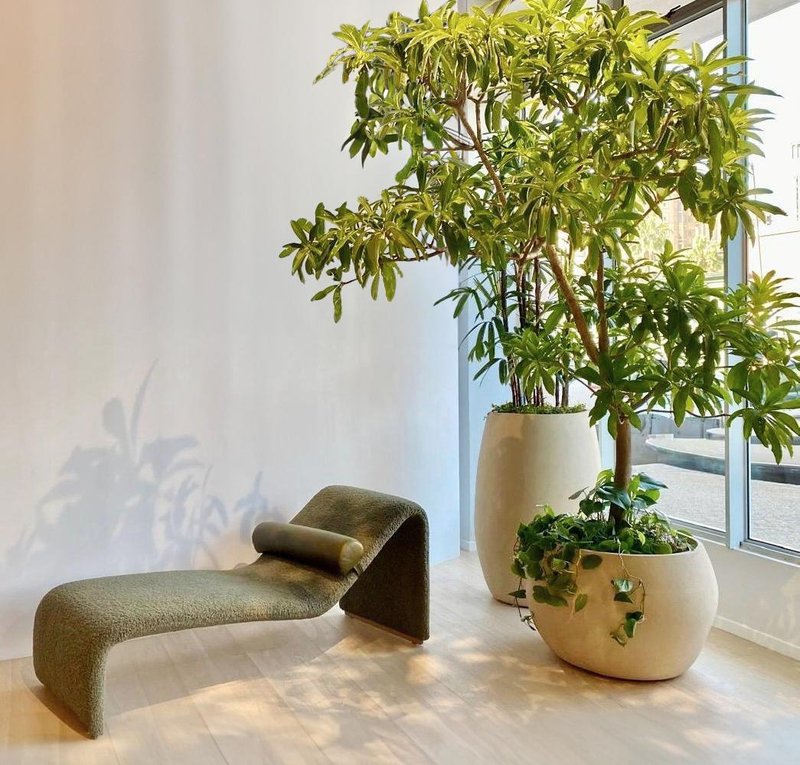 Pebble Small Terracotta Planter by Indigenus for sale at Pamono