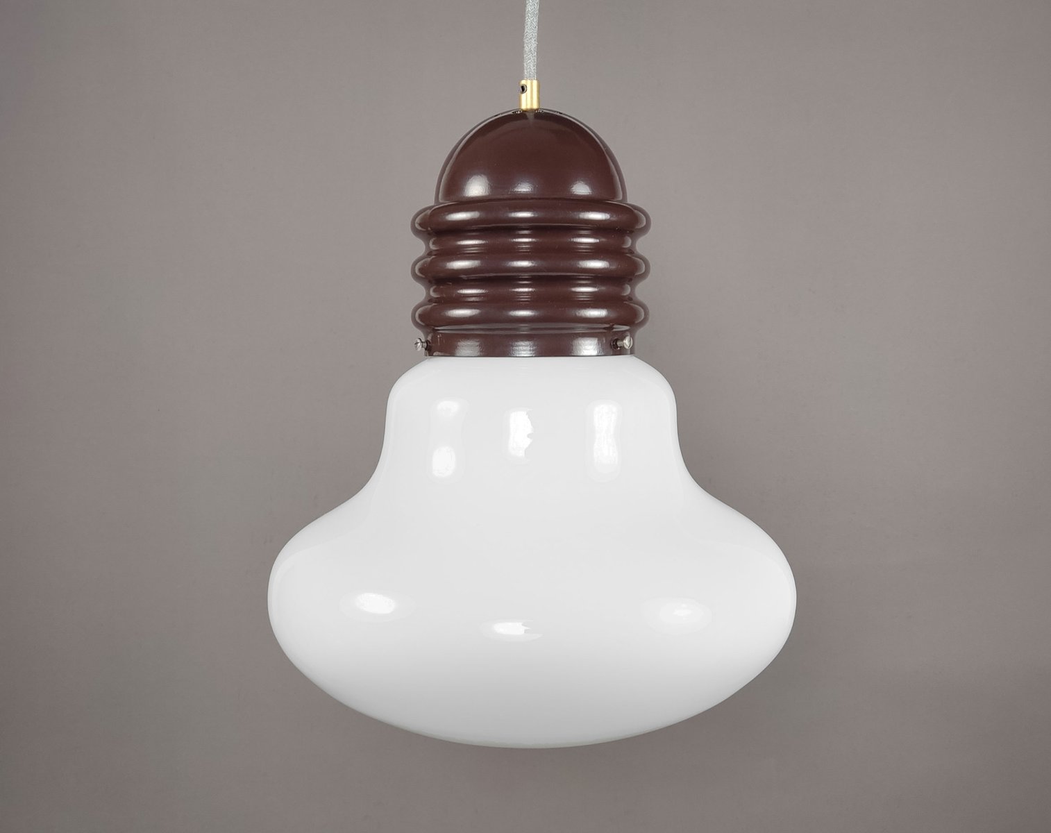 Large Italian Bulb Shaped Pendant Lamp by Enrico Tronconi, 1970s for ...