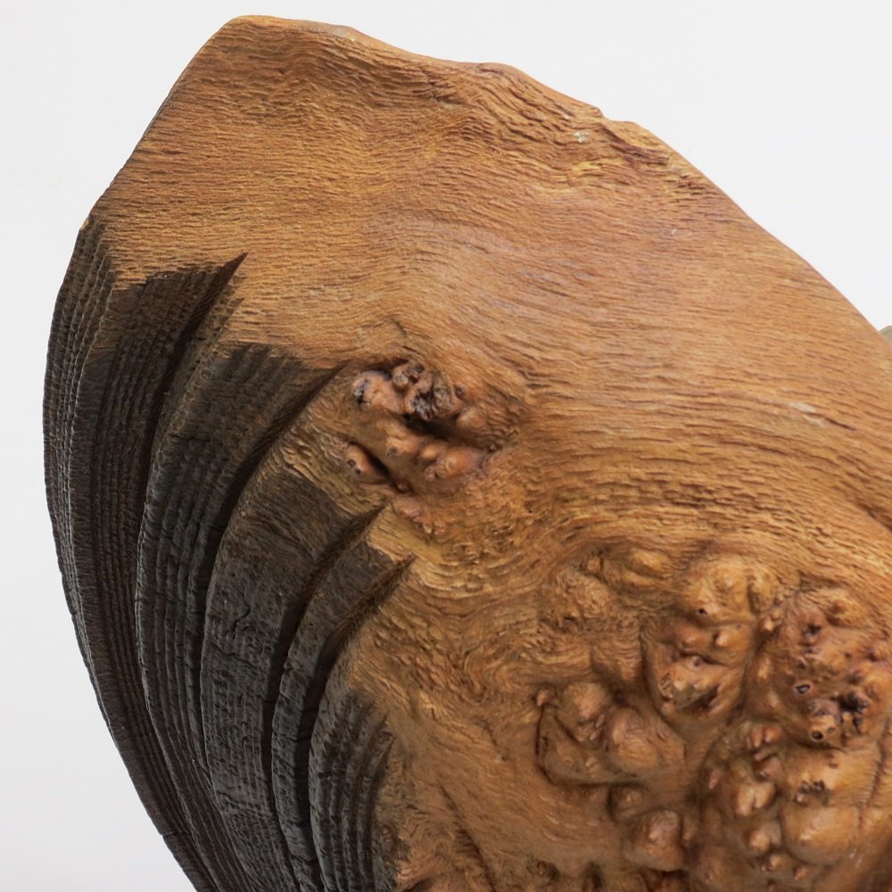 Mike Chai, Very Large Wall Sculpture, 1980, Burr Oak for sale at Pamono