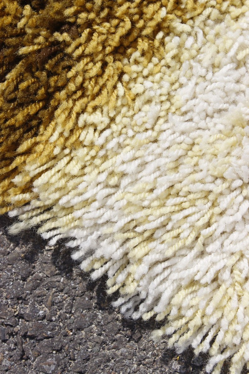 Vintage Shaggy Wool Rug from Junghans, 1970s for sale at Pamono
