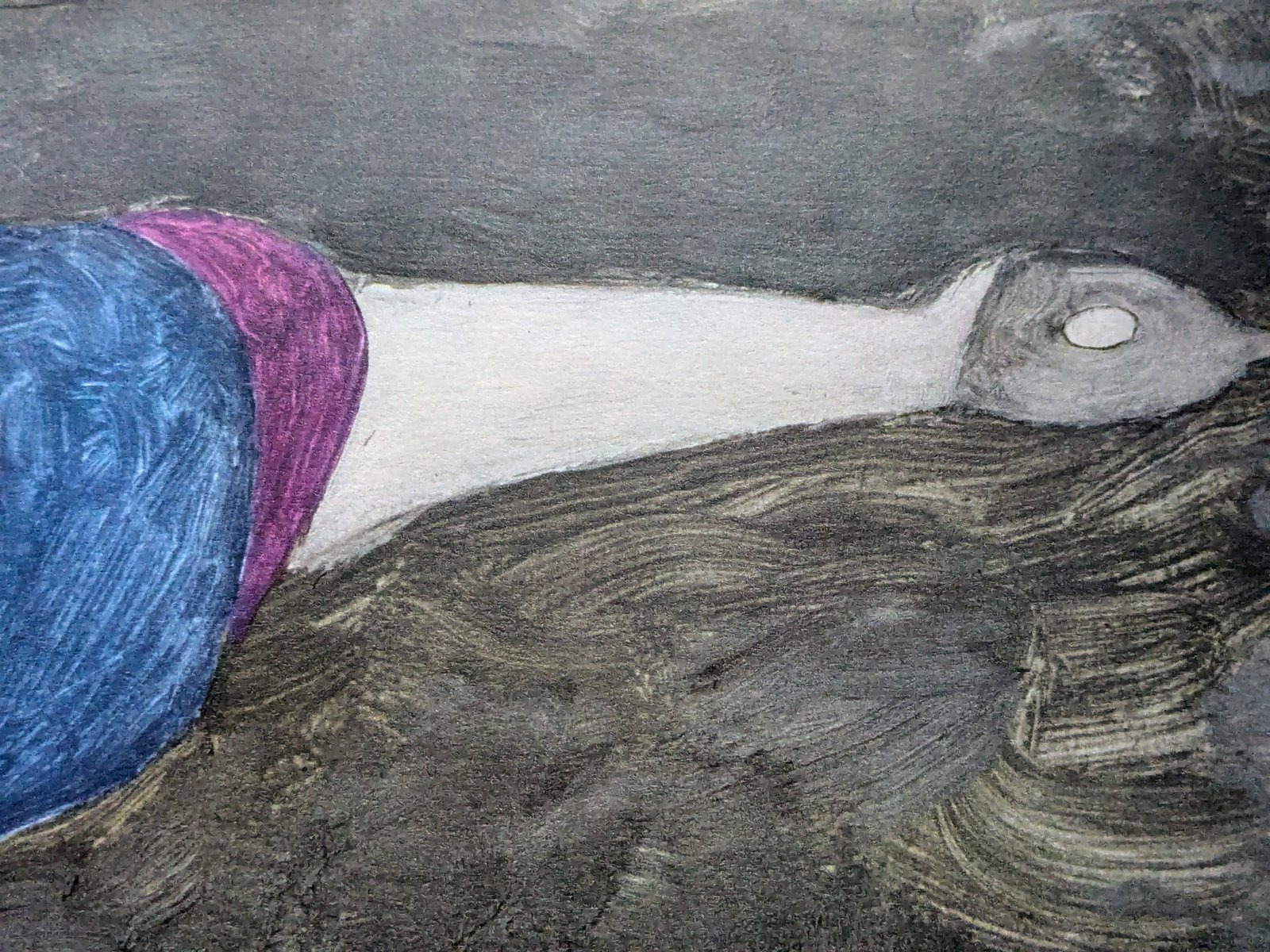 Georges Braque, Birds, 1955, Lithograph for sale at Pamono