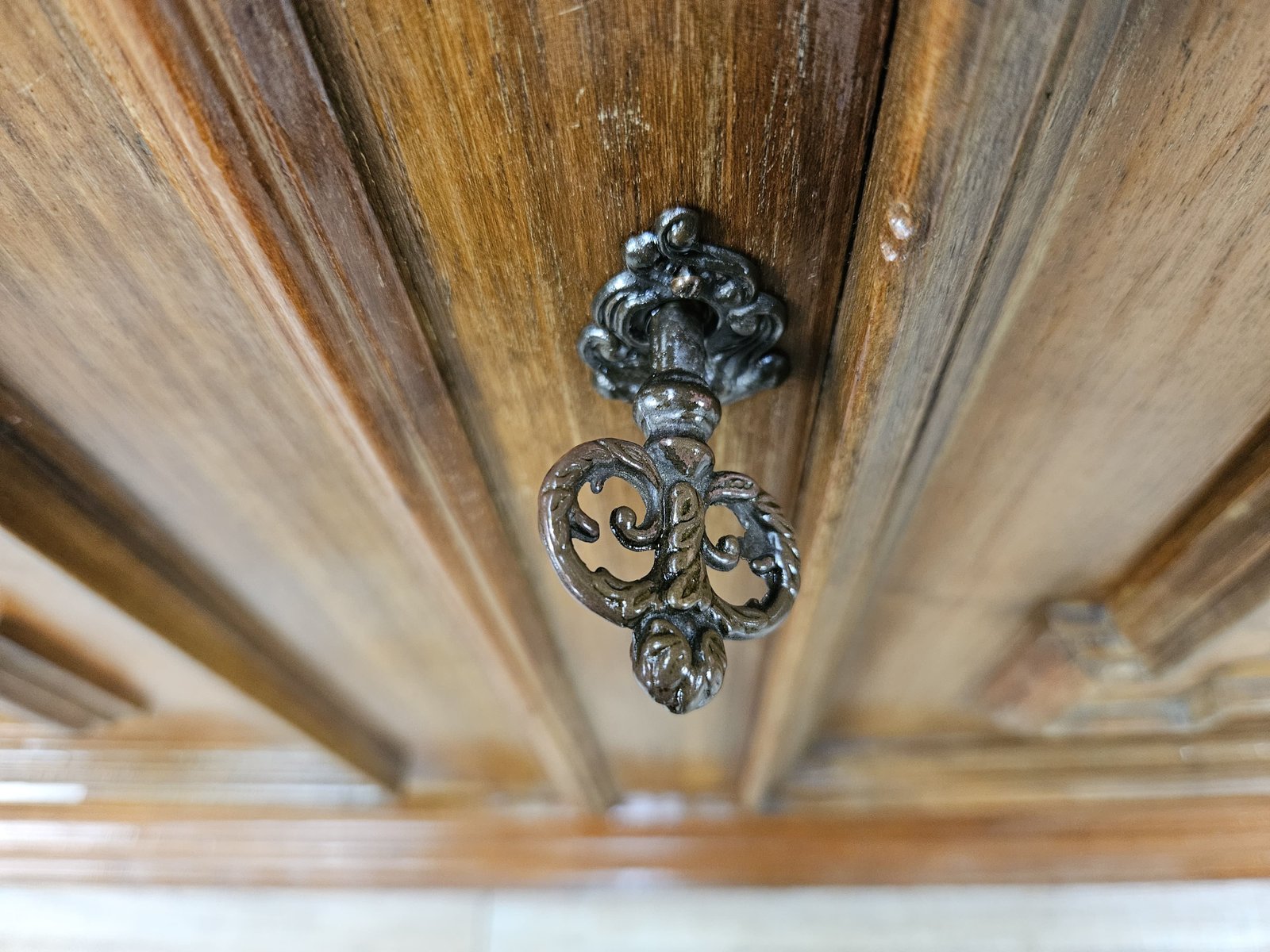Double Body Bookcase in Walnut and Walnut Root with Shelves and Worked ...