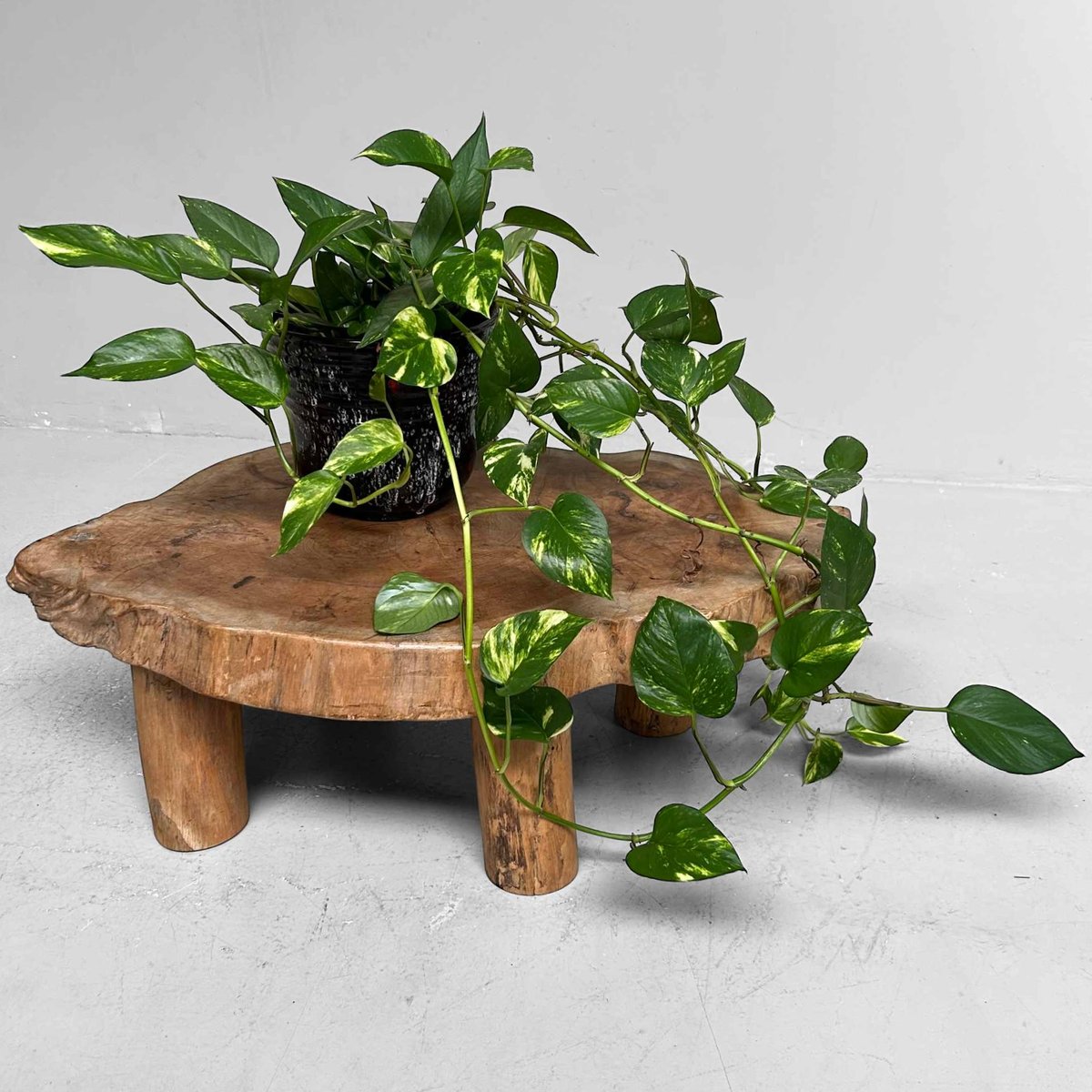 Japanese Log Table, 1950s for sale at Pamono