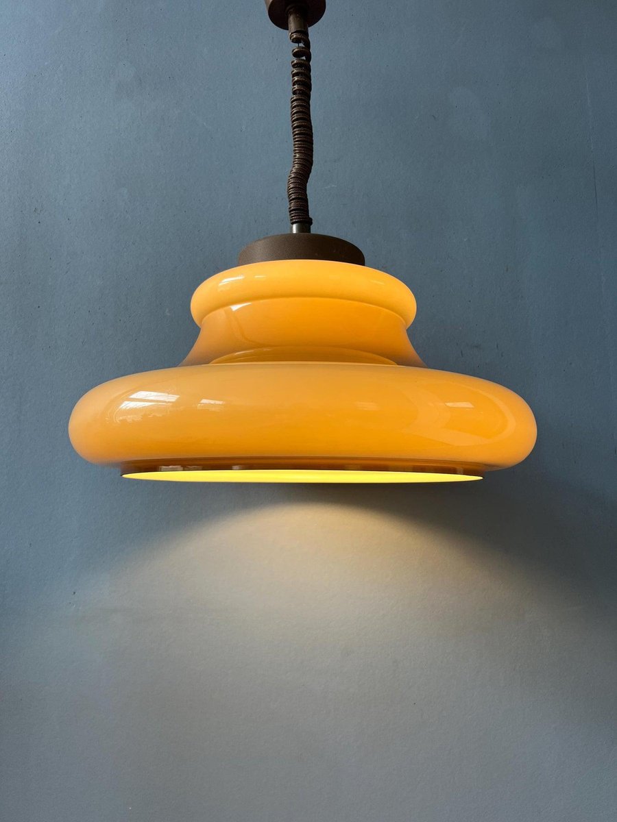 Acrylic Glass Herda Mid-Century 70s Vintage Lighting Pendant for sale ...