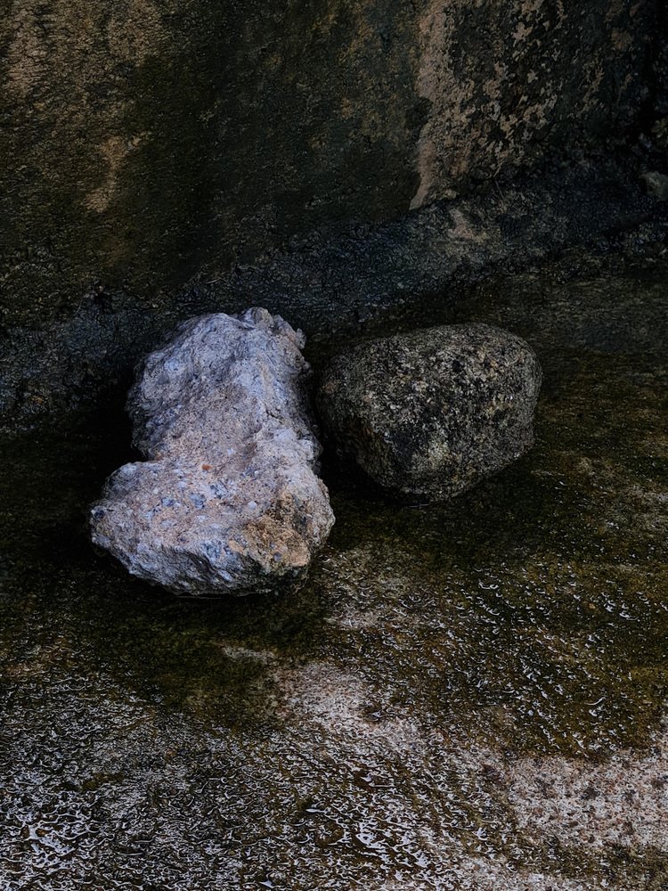 Jess Hon, Ein liebevolles Paar, 2022, Fotodruck bei Pamono kaufen