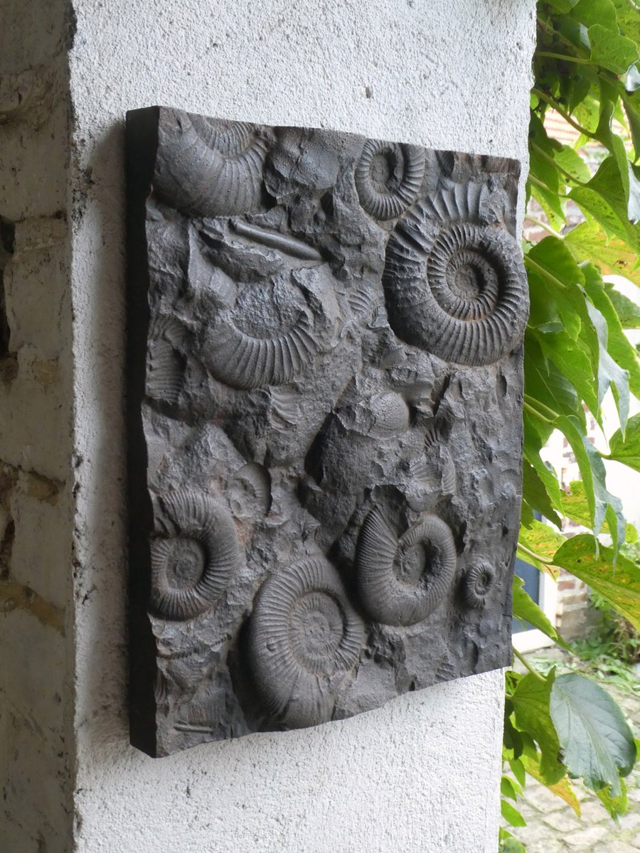 Cast Iron Plate Decorated with Ammonite Fossils, 1960s for sale at Pamono