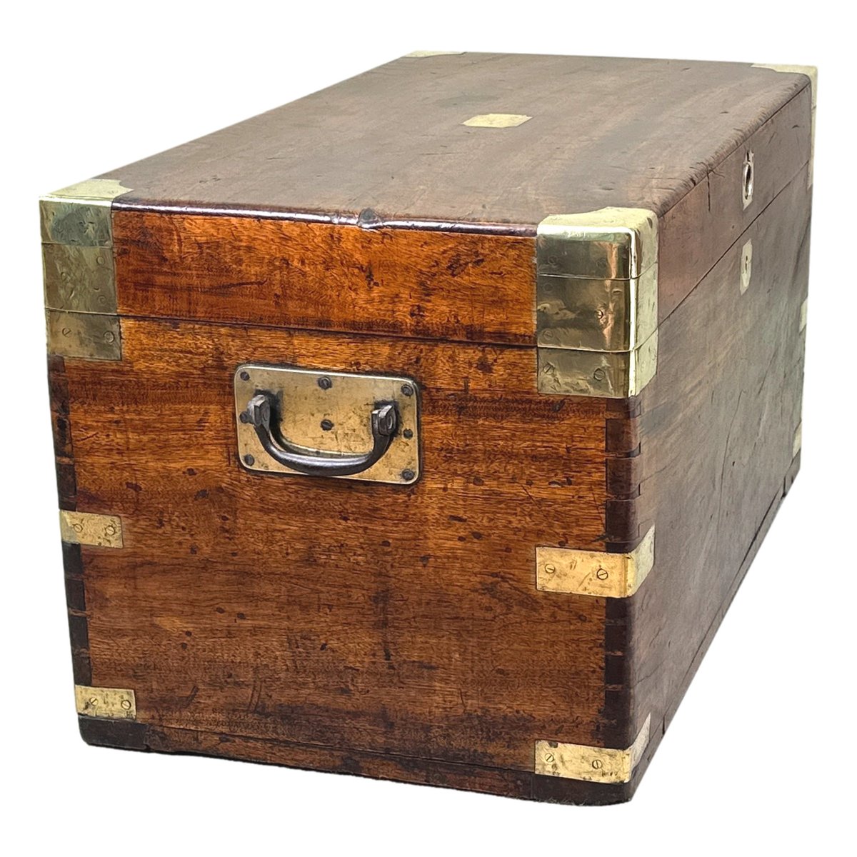19th Century Camphor Wood Military Campaign Trunk, 1850 for sale at Pamono