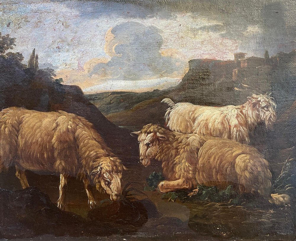 After Philipp Peter Roos, Goats, 17th Century, Oil on Canvas for sale ...