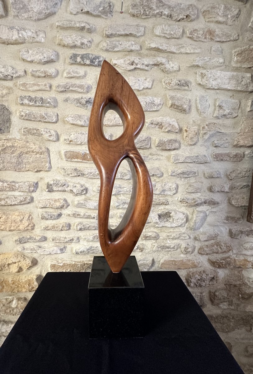 Large Freeform Sculpture, 1960s, Wood on Marble Base for sale at Pamono