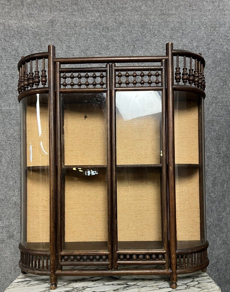 19th Century Collectors Display Case with Tapestry Background and ...