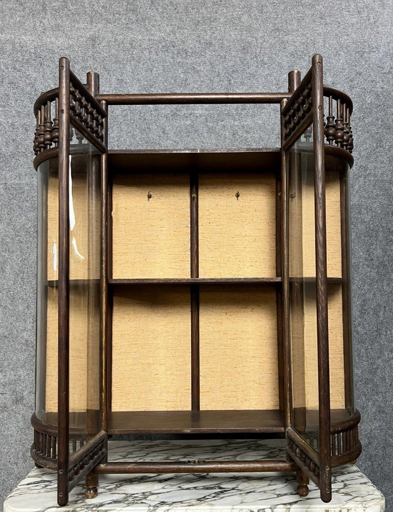 19th Century Collectors Display Case with Tapestry Background and ...