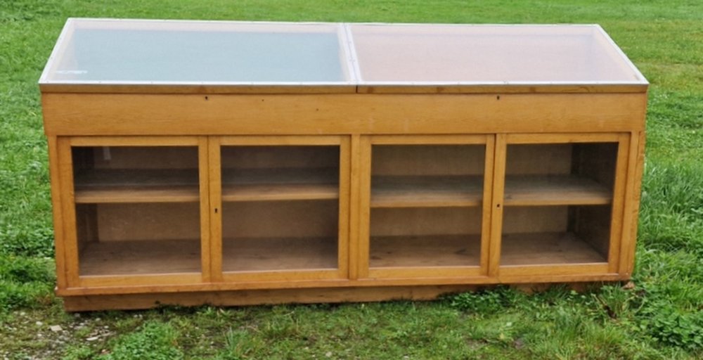 Geological Museum Display Cabinets, 1950s for sale at Pamono