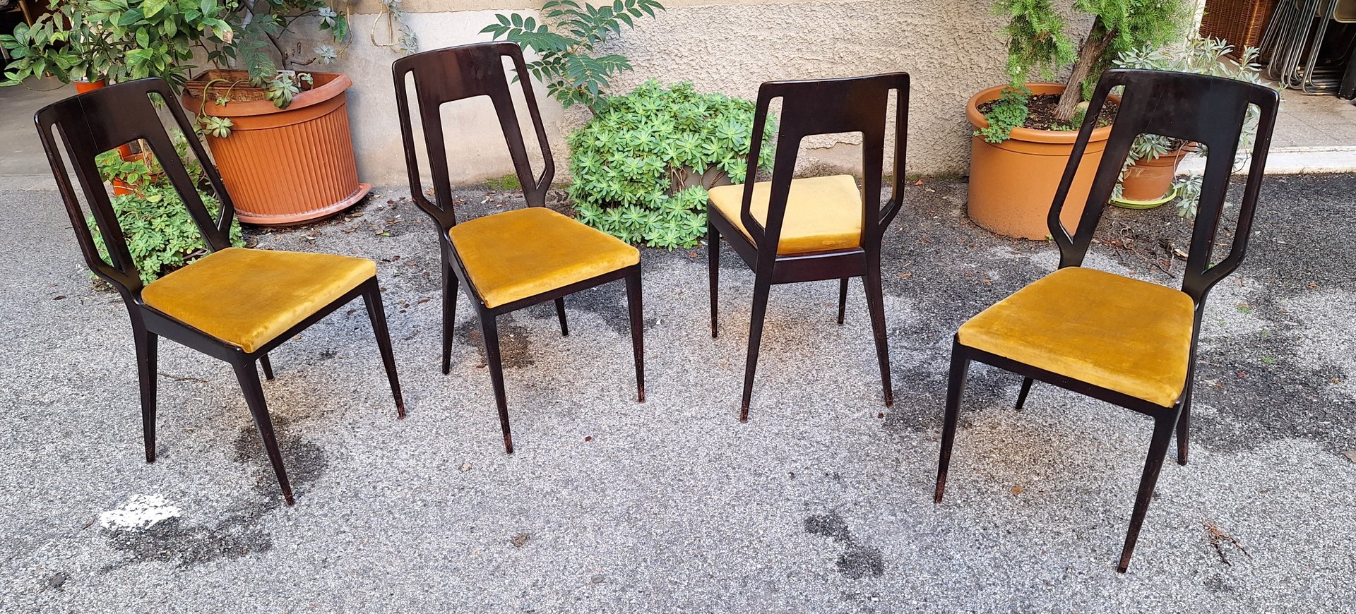 Chairs with Round Segmented Top in Mahogany by Ico Parisi, 1950s, Set ...