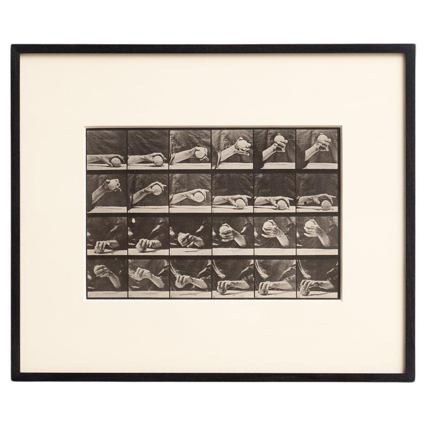 Eadweard Muybridge, Black and White Hand with Ball Movement, 1982 ...