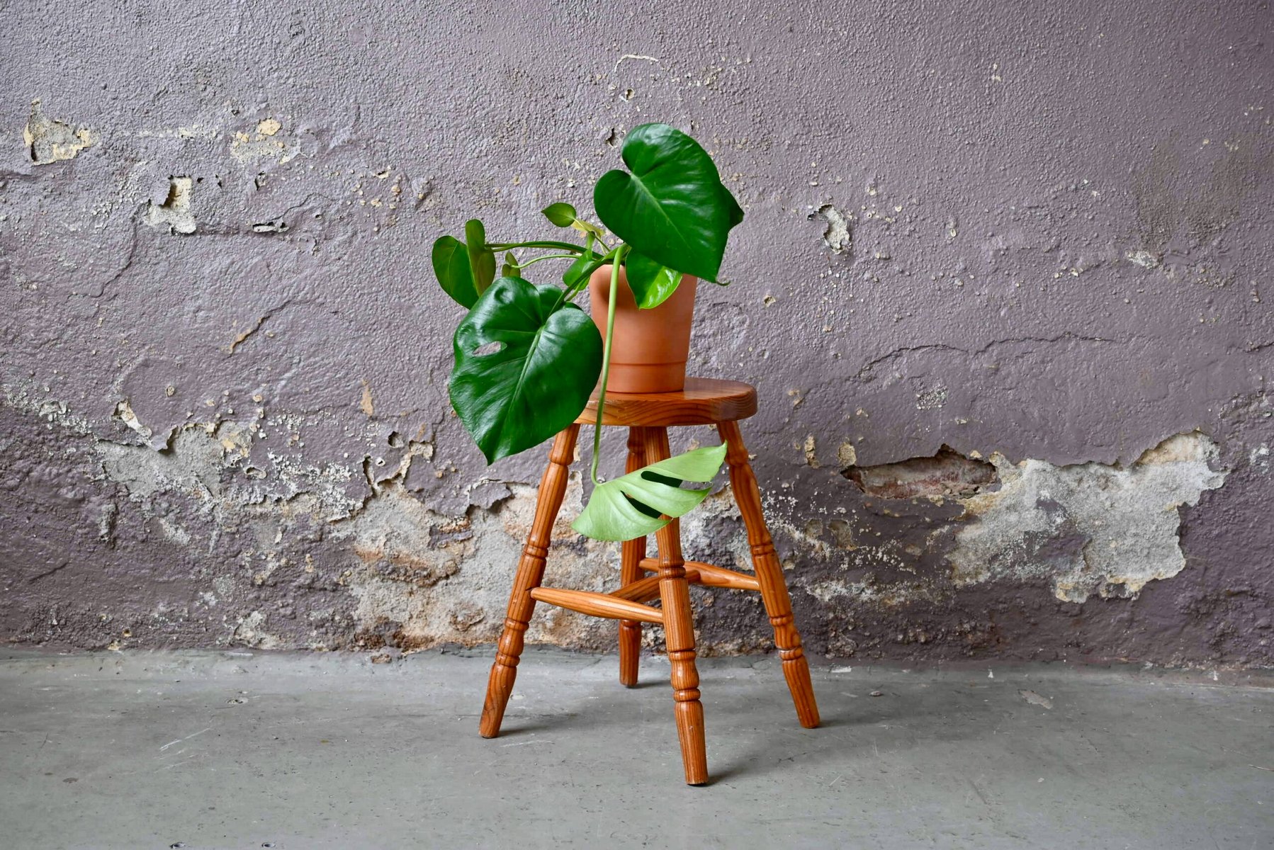 Vintage Pine Farm Stool for sale at Pamono