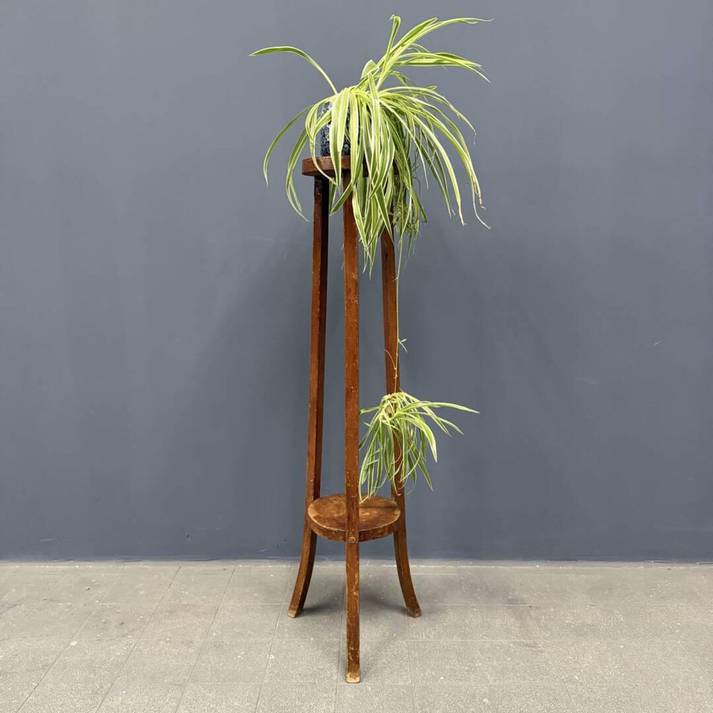 High Wooden Plant Table, Spain for sale at Pamono