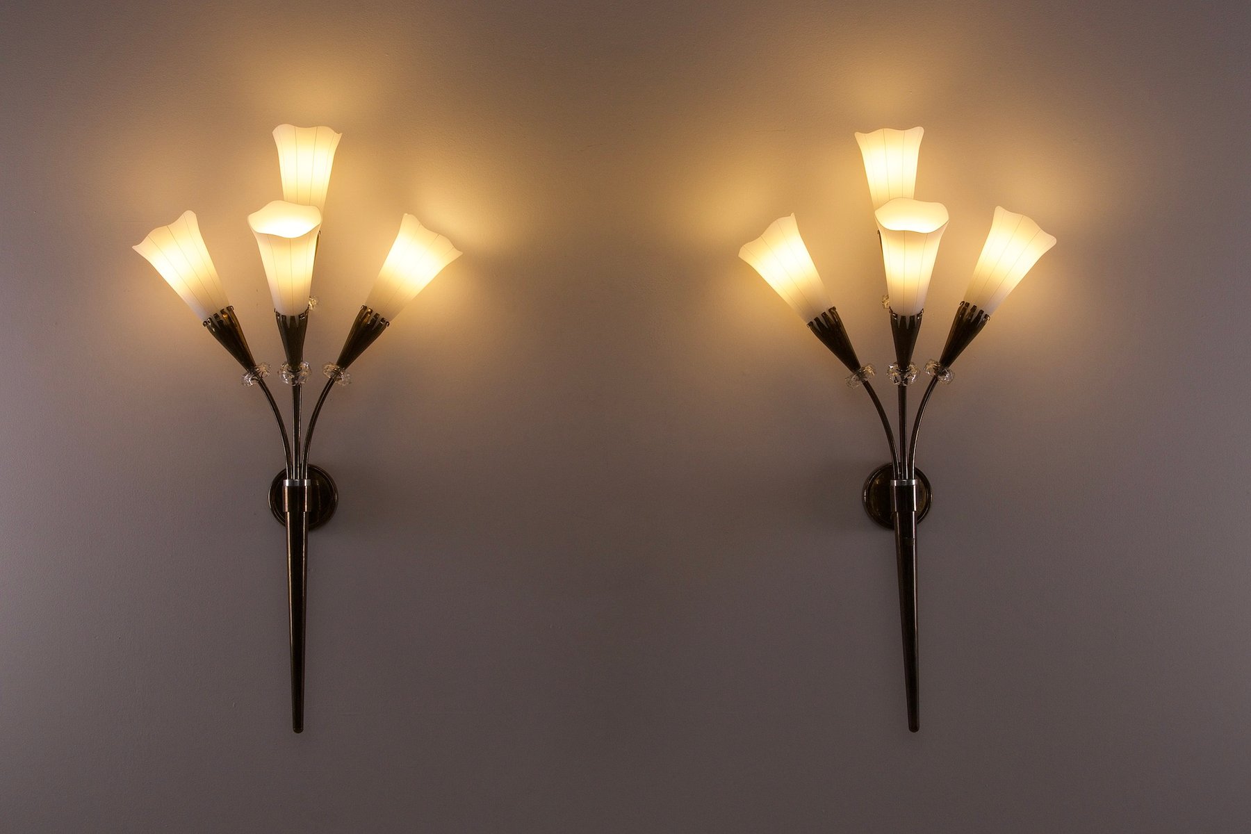 Arum Wall Lights from Maison Lunel, 1950s, Set of 2 for sale at Pamono