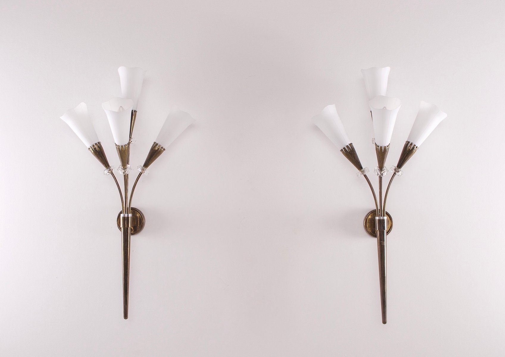 Arum Wall Lights from Maison Lunel, 1950s, Set of 2 for sale at Pamono