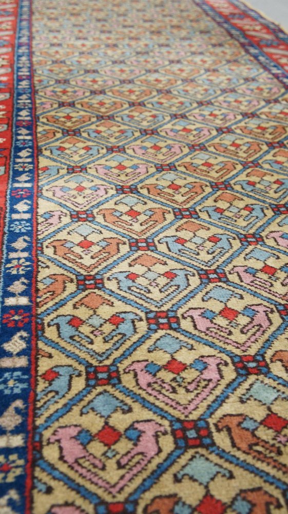 Colorful Middle Eastern Runner with Contrasting Edges for sale at Pamono