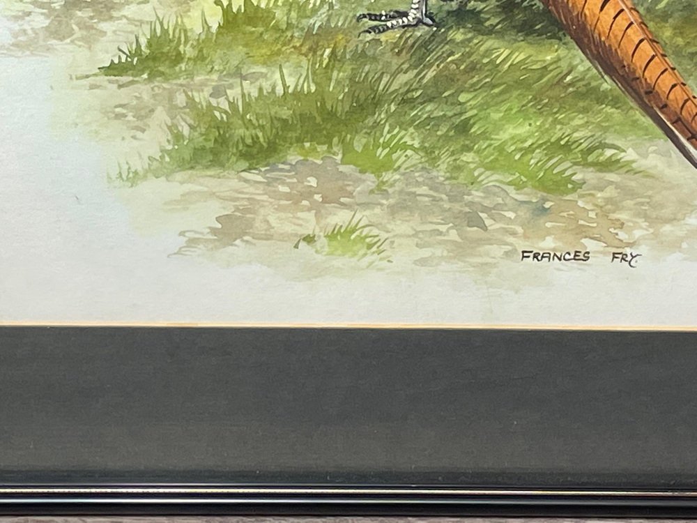 Frances Fry, Pheasants in Grassy Moors Minehead Somerset Study, 1970s ...