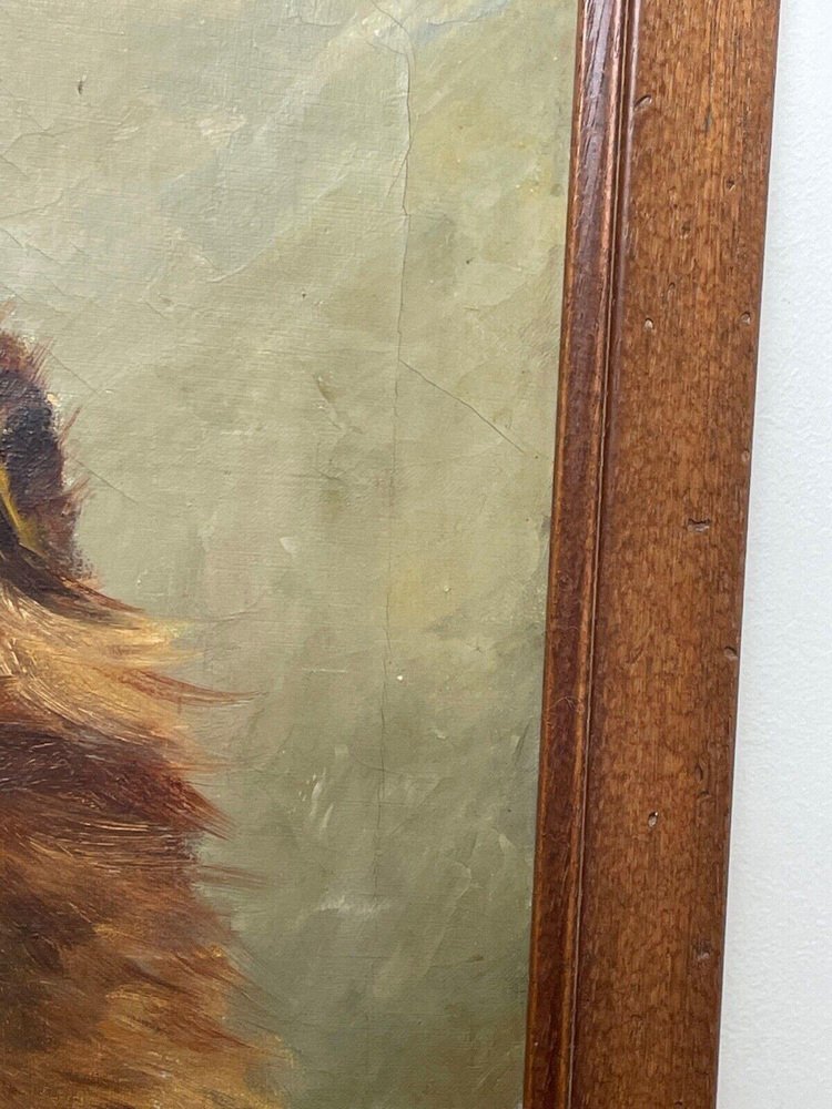 French Artist, Chinese Chow Chow Dogs Ting & Ching, 19th Century, Oil Painting for sale at Pamono