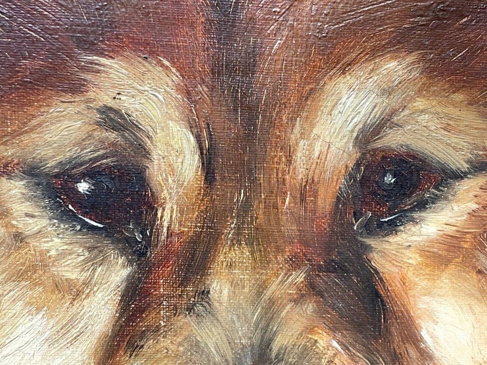 French Artist, Chinese Chow Chow Dogs Ting & Ching, 19th Century, Oil Painting for sale at Pamono