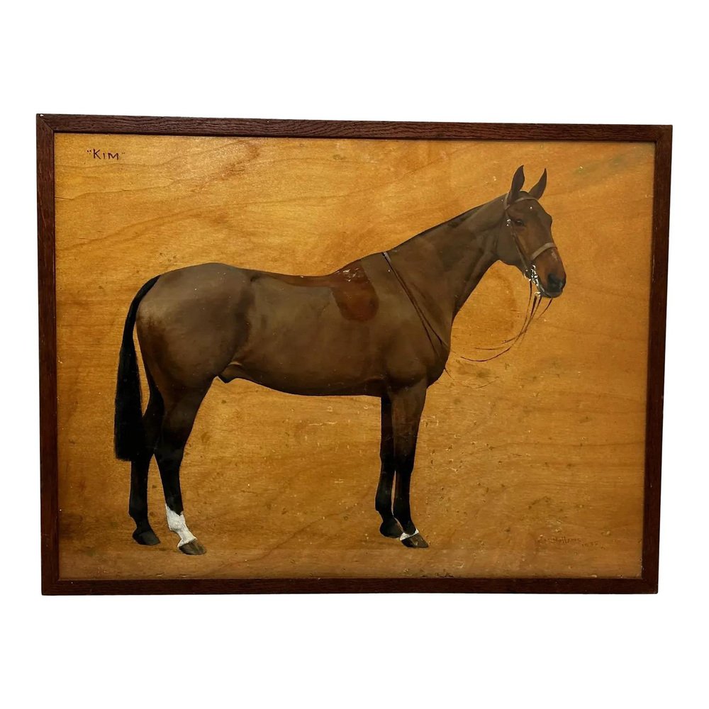 Frances Mabel Hollams, Kim Bay Hunter Horse, 1935, Oil Painting for ...