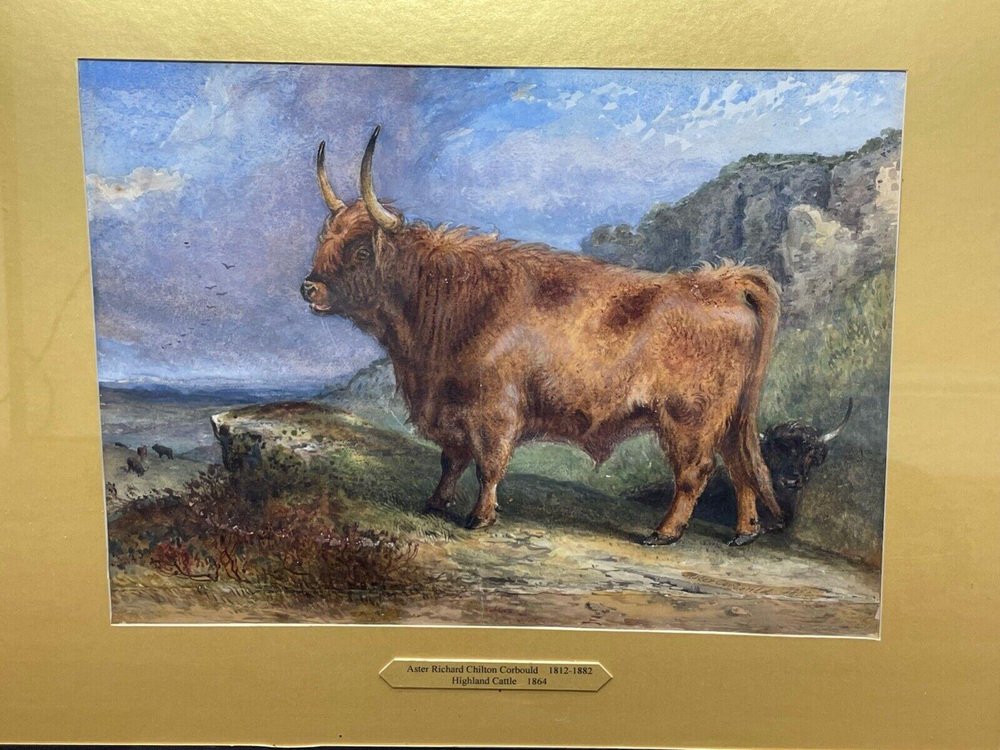 Aster Richard Chilton Corbould, Scottish Highland Prized Longhorn ...