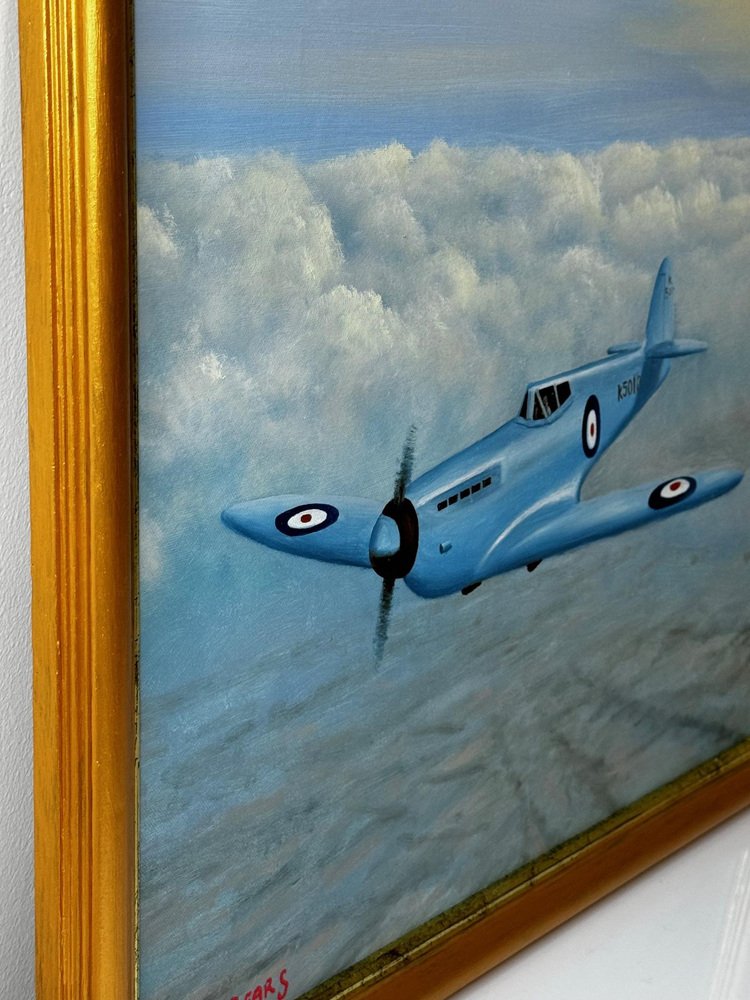 Dion Pears, RAF Supermarine Spitfire Prototype Plane with Pilot Mutt ...