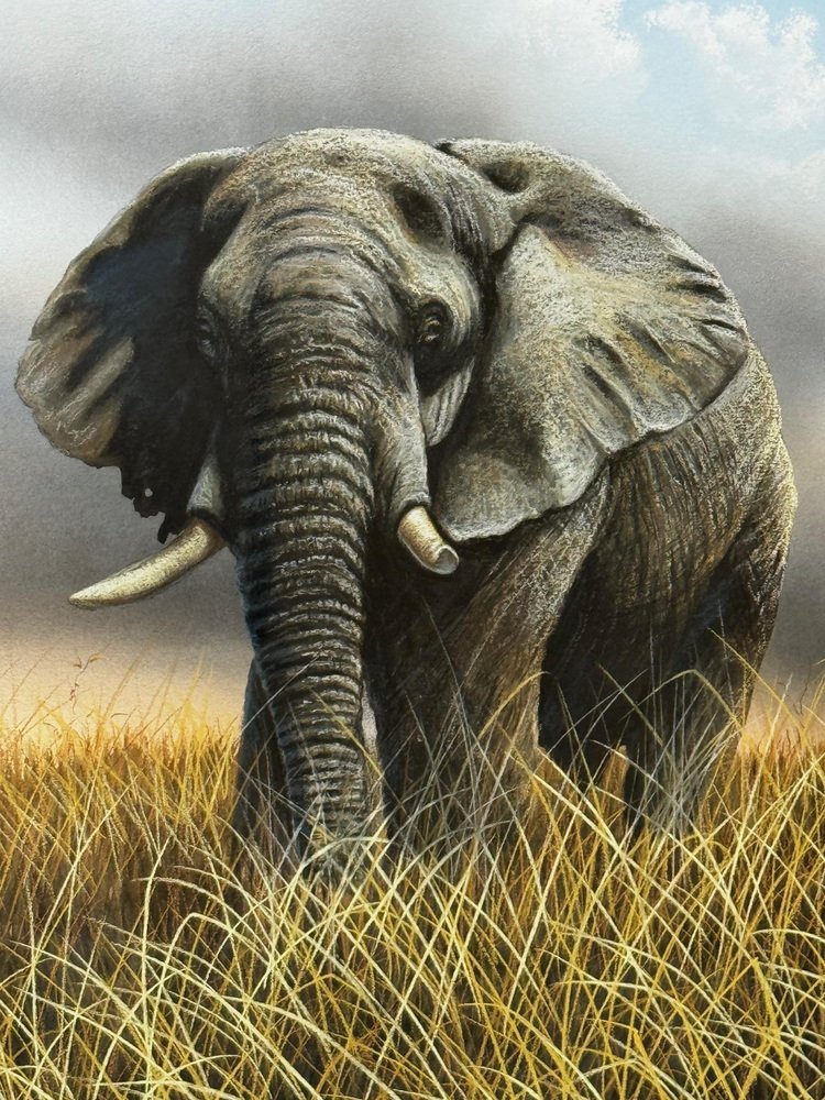 Follower of David Shepherd, Large British Painting Gray Bull Elephant ...
