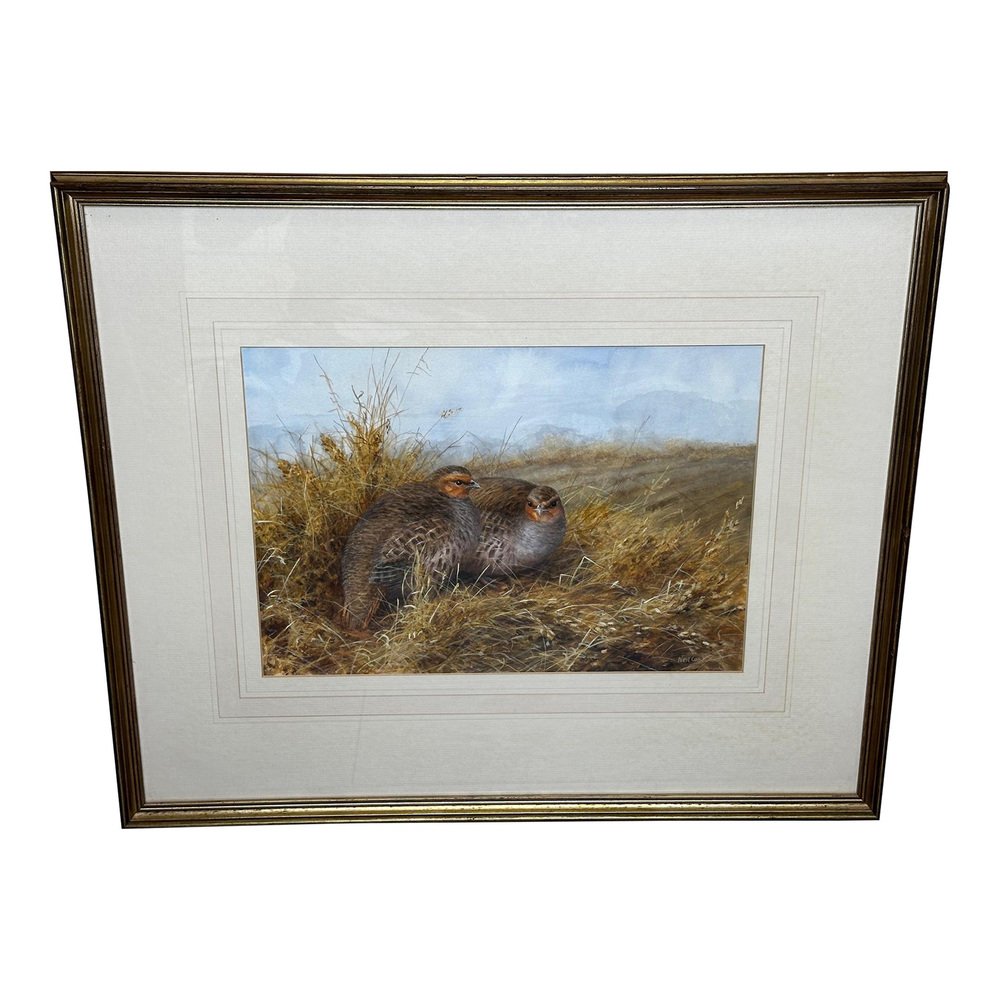Neil Cox, Grey Partridge Game Birds Sheltering, New Forest, Watercolor ...