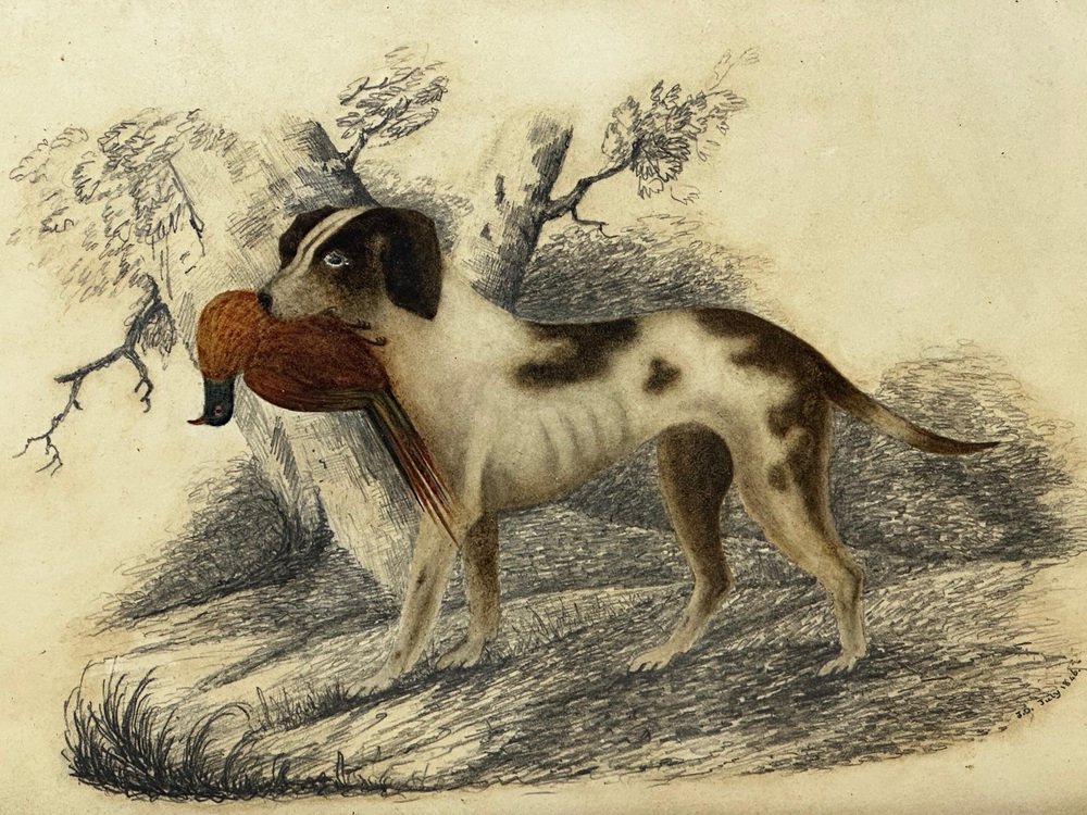Early Victorian Artist, Hunting Pointer Gun Dog Carrying Game Bird ...
