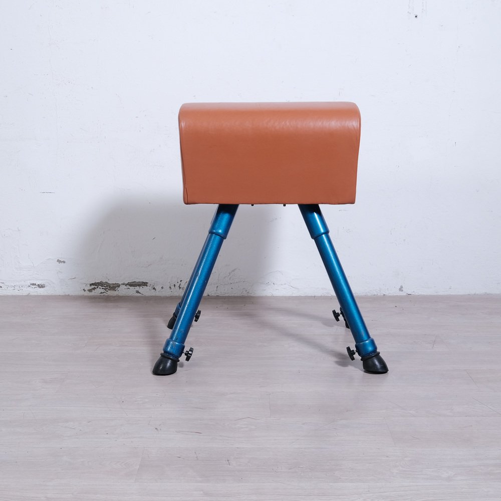 Vintage Height-Adjustable Leather Gym Stand, 1980s for sale at Pamono