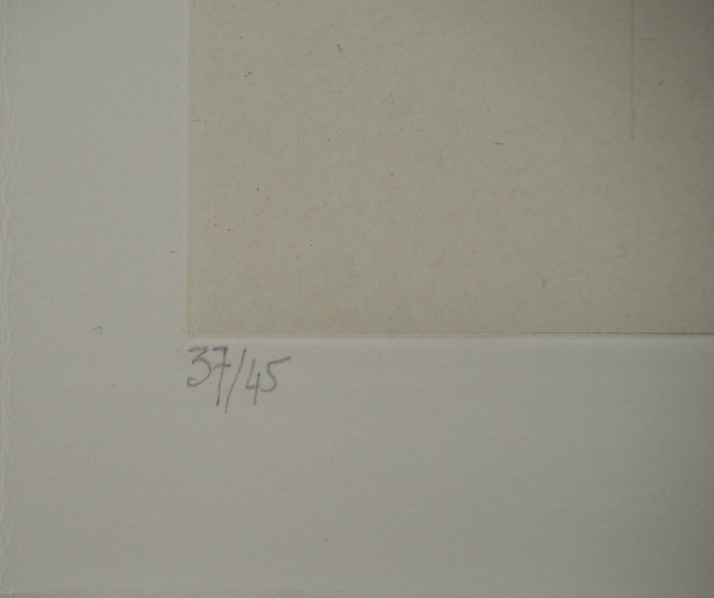 Fred Deux, The Branches, Original Engraving for sale at Pamono