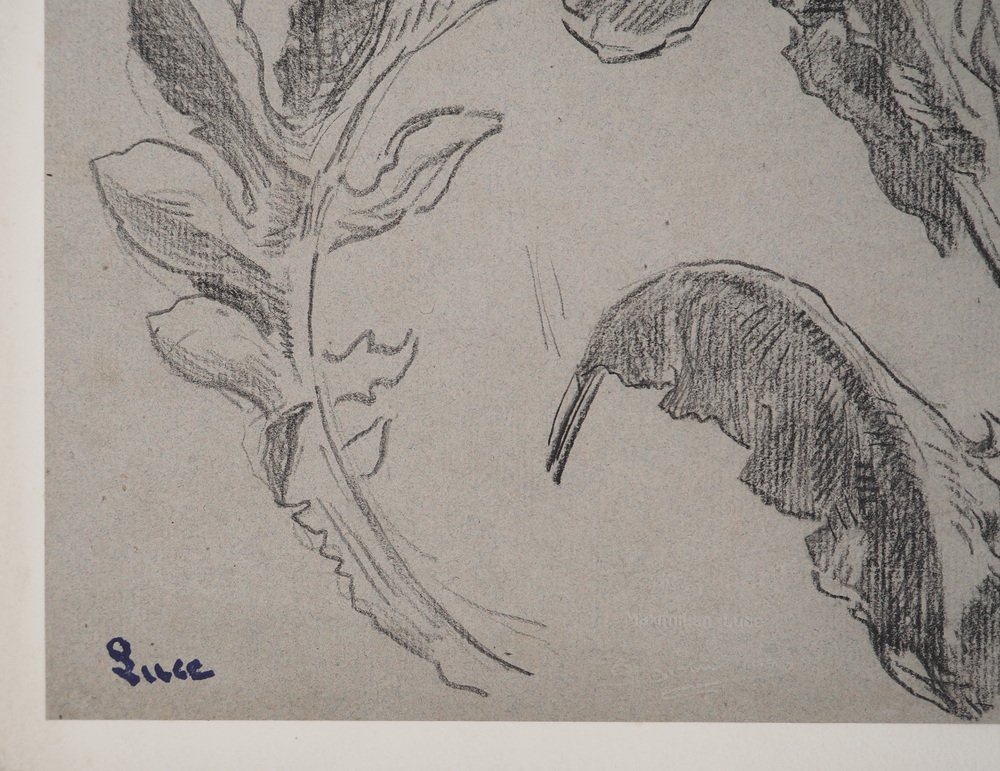 Maximilien Luce, Study of Leaves, Original Drawing for sale at Pamono