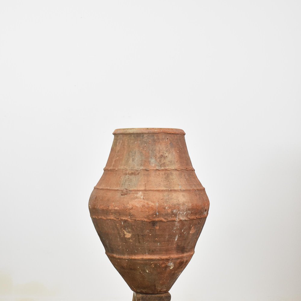 Large Terracotta Olive Jar, 1920s for sale at Pamono