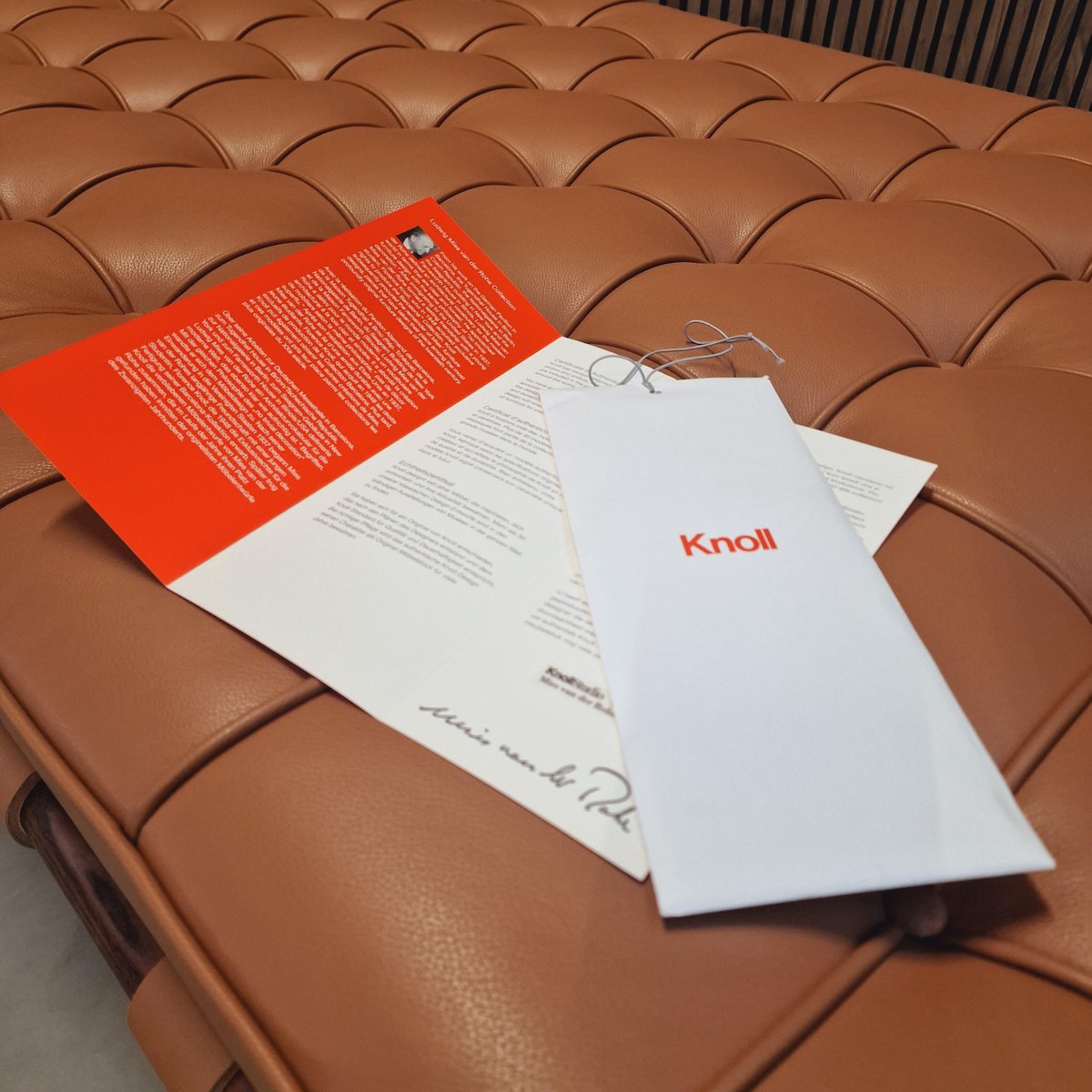 Barcelona Daybed in Cognac Leather by Ludwig Mies van der Rohe for Knoll Inc. / Knoll ...