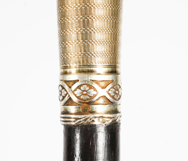 Antique Walking Cane with Silver Gilt Handle, 1890s for sale at Pamono
