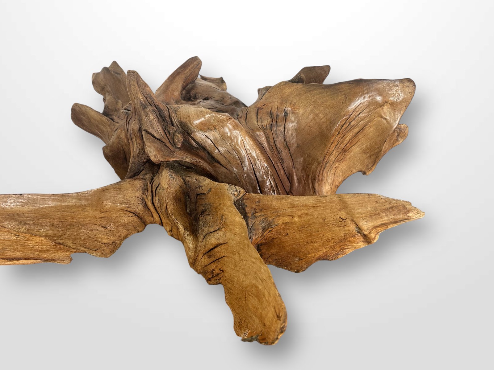Large Natural Abstract Sculpture, 20th Century, Root Wood for sale at ...
