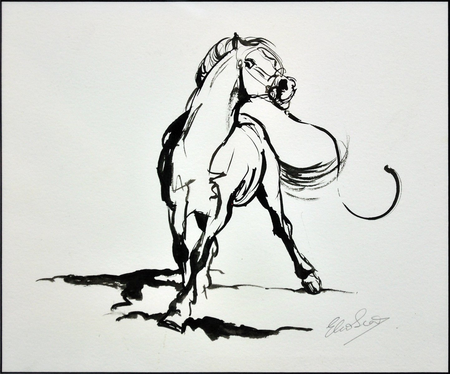 Elin Sian Blake, Welsh Section A Stallion, 21st Century, Ink on Paper ...