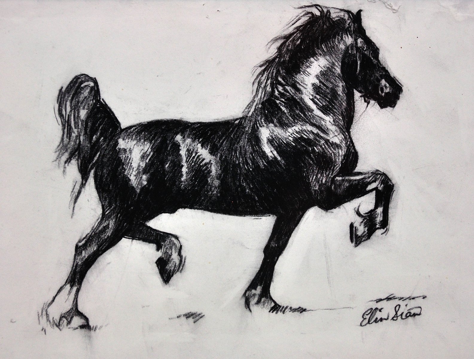 Elin Sian Blake, Black Welsh Cob, Charcoal on Paper for sale at Pamono
