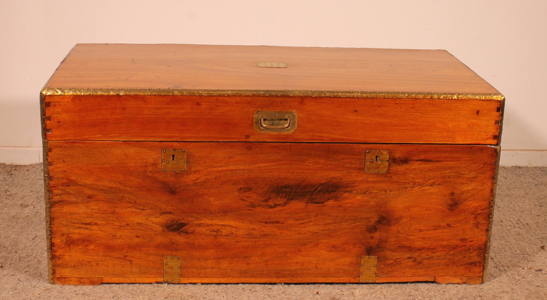 19th Century Marine Chest in Camphor Wood for sale at Pamono