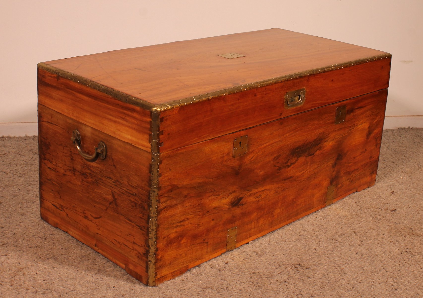 19th Century Marine Chest in Camphor Wood for sale at Pamono