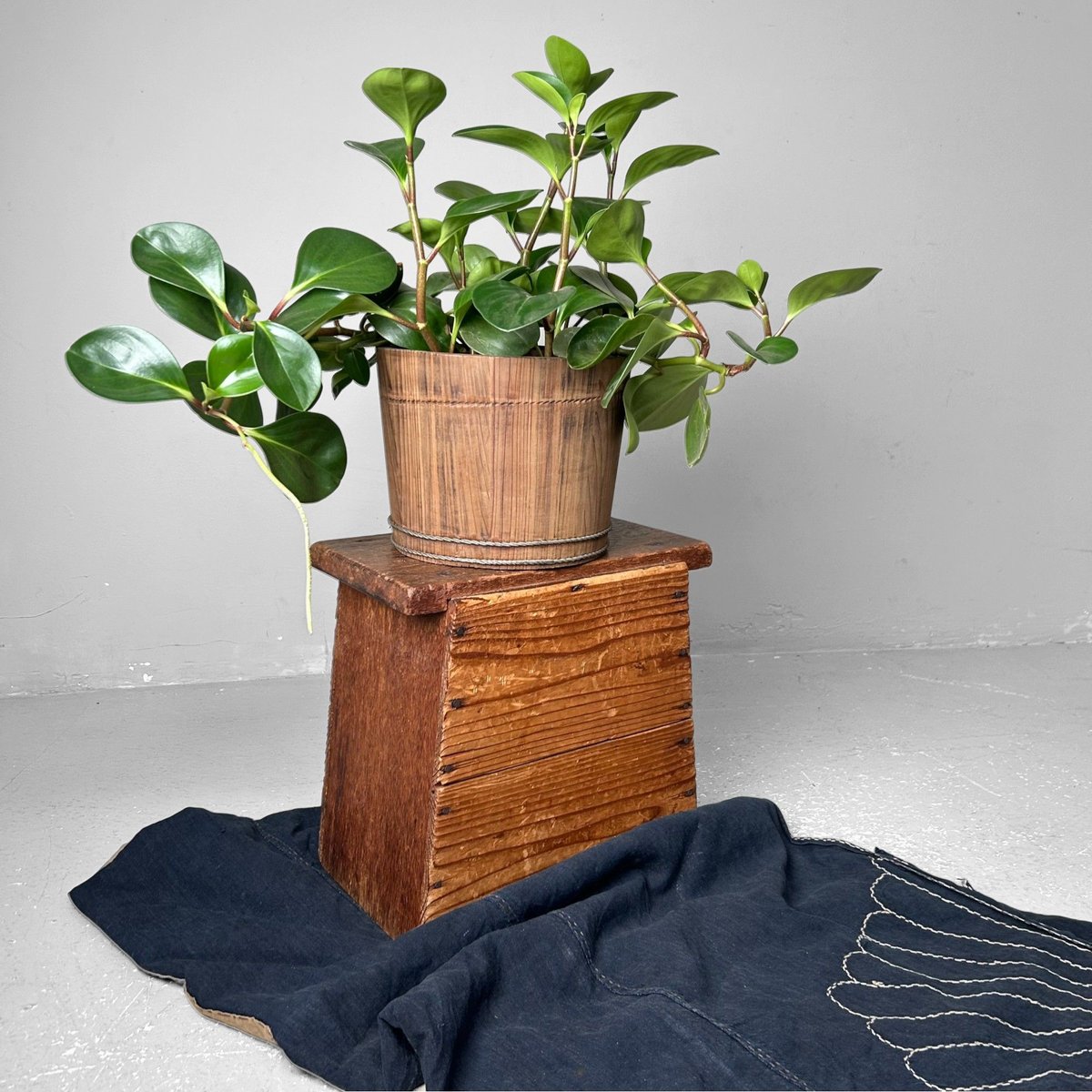 Minimalist Fumidai Wooden Step Stool, Japan, 1960s for sale at Pamono